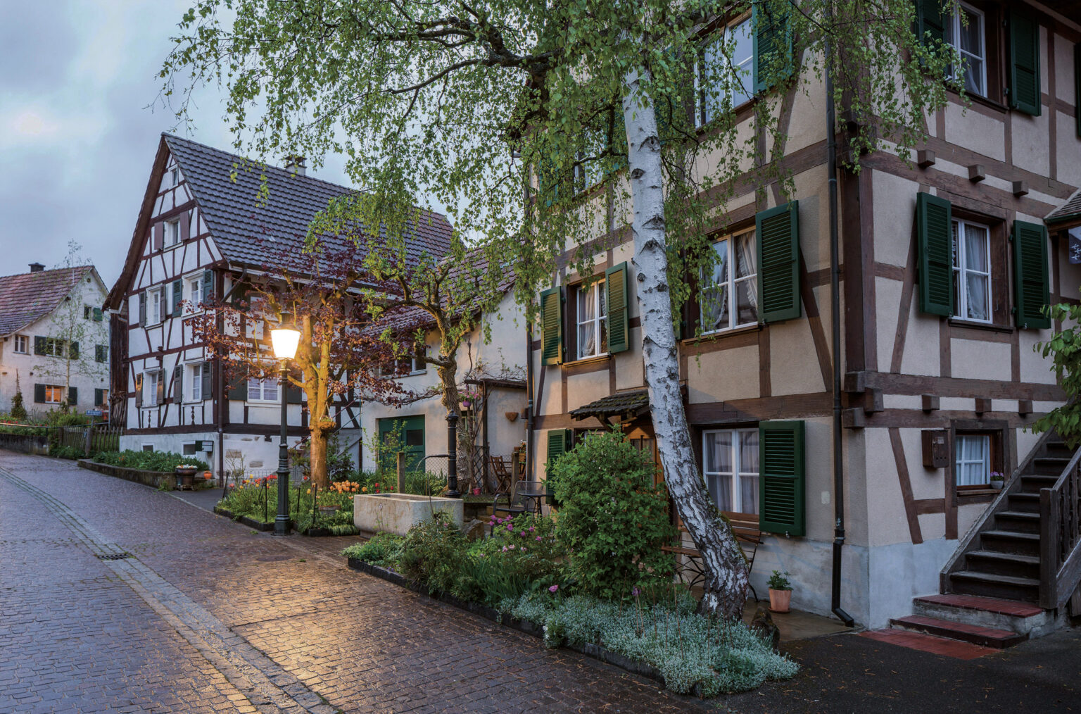 Ort/Lage - Allschwil Rosenberg